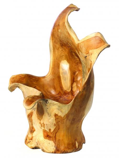 Tree Root Pot | Ancient Mariner Furniture